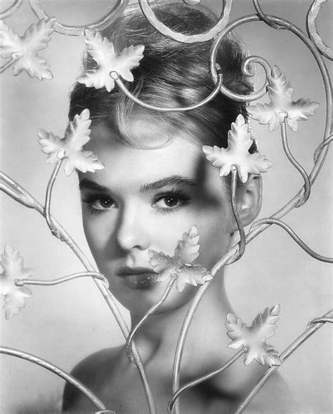 A Slice Of Cheesecake Joey Heatherton Idol Features