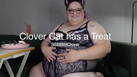 Clover Cat Gets A Treat Ssbbwclover Clips4sale