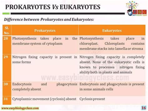 Differencebetweenprokaryotesandeukaryotesbyeasybiologyclass Lva App Pdf