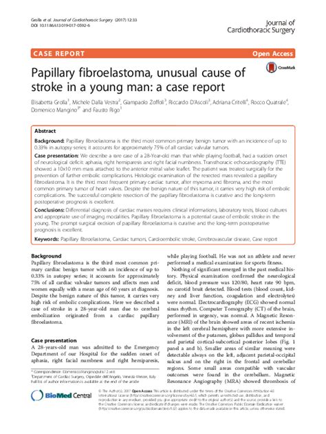 Pdf Papillary Fibroelastoma Unusual Cause Of Stroke In A Young Man
