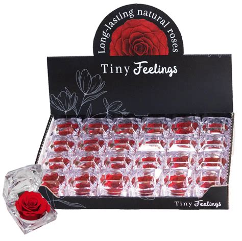 Display T Boxes Roseamor