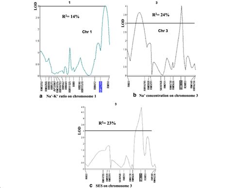Qtl Likelihood Curves Of The Lod Score Of A Na K Ratio On