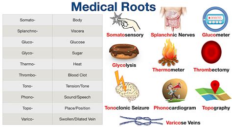 Root Meanings Dictionary