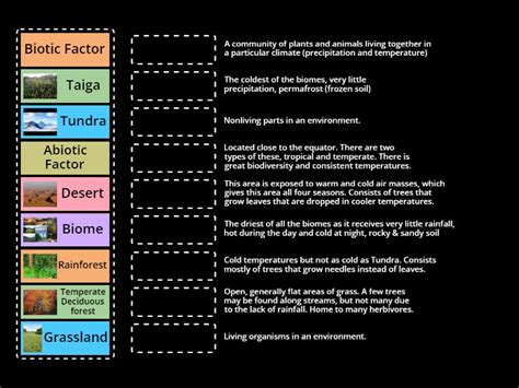 Biomes Une Las Parejas