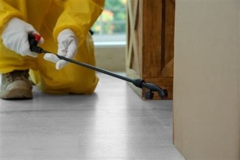 Manufacturing And Warehouse Pest Control Las Vegas Nv Flatliners