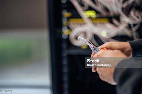 펜치가있는 잭으로 이더넷 케이블을 절단 기술자의 클로즈업 이미지 25 29세에 대한 스톡 사진 및 기타 이미지 25 29세 기술자 남성 Istock