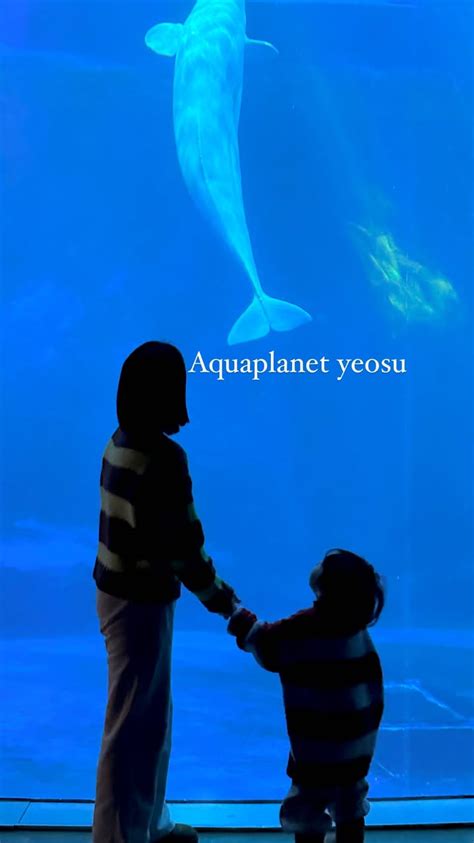 리라우유🍼 협찬 Bebedecostore 리라남매가 엄청난 경쟁을 뚫고 베베데코 베니1기가 되었습미다 ᰔ 이번에 새롭게 출시 된 베베데코 낮잠이불세트 총 7가지