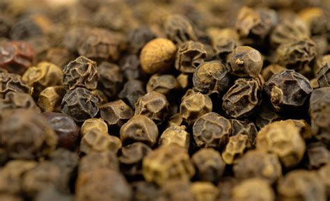 Harnessing Cold Plasma Technology For Decontamination Of Food And Food Contact Surfaces Food