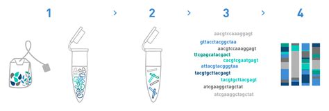 Identification Of Food Ingredients By Dna Metabarcoding Allgenetics