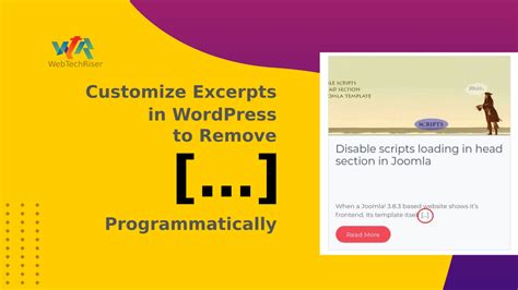 how to customize excerpts in wordpress to remove the […] programmatically