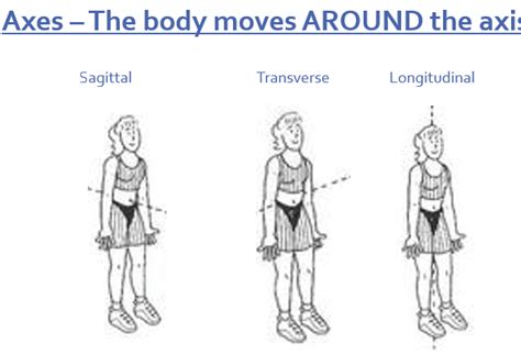 AQA A Level PE Year 1 Musculoskeletal System Lesson Bundle Teaching Resources