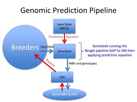PPT Understanding Conventional And Genomic EPDs PowerPoint Presentation ID 6247008