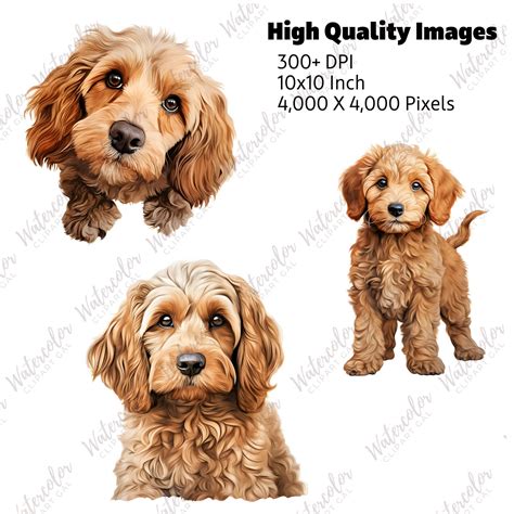 Cockapoo Clipart Watercolor Bundle Dog Portrait Cockapoo Png Junk