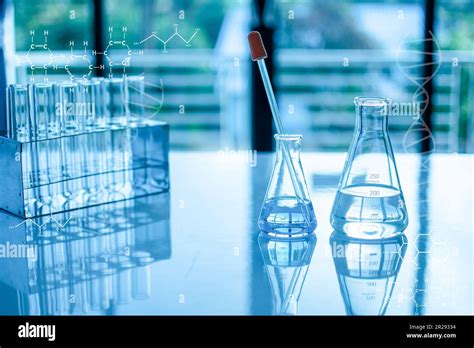 Chemistry Experiment Concept In Science Laboratory Two Science Flasks