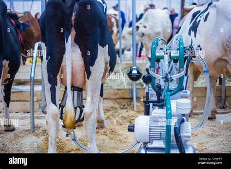 Dairy Farming Equipment