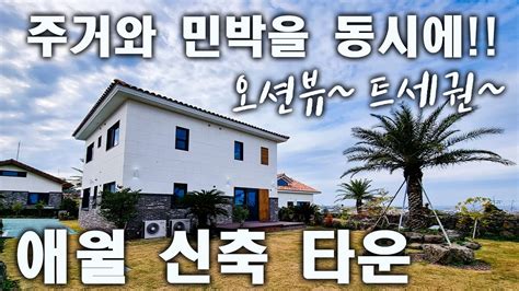 애월읍 오션뷰 신축 타운 세대분리 직접 거주하면서 민박운영 수익형 다가구주택 넓은 실내 면적 너른마당과 야외 자쿠지 실내외 바다조망 가능 방 욕실 YouTube