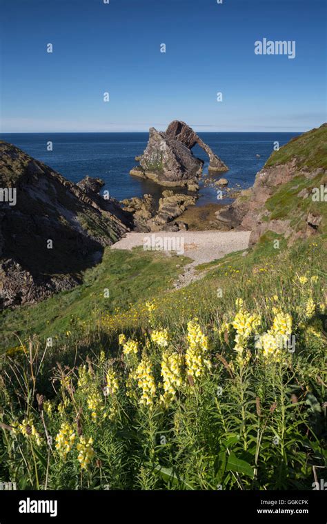 Bow Fiddle Rock Portknockie Moray Scotland United Kingdom Stock