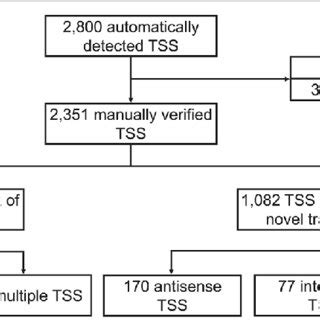 Classification Of Tss Identified With Rna Seq Schematic View Of The