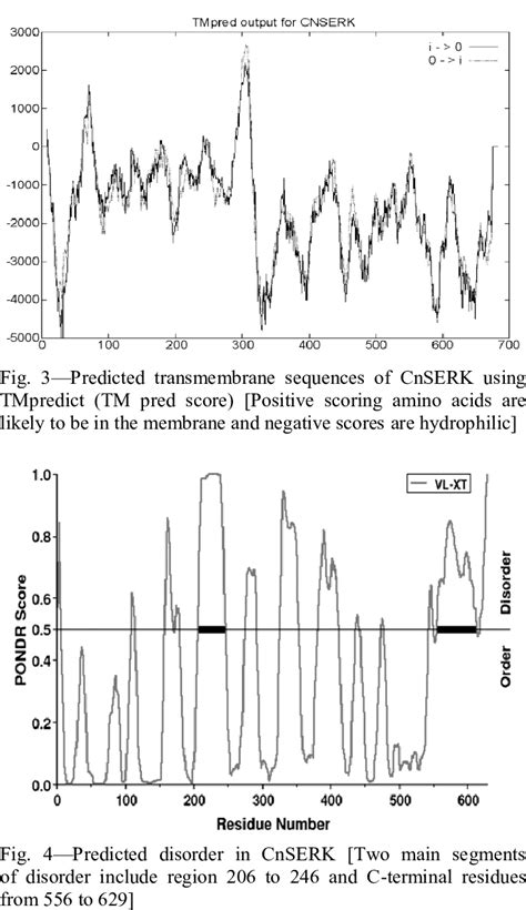 Prediction Of Cleavage Site Of Signal Peptide Of Cnserk According To