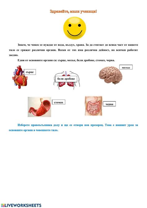 Органи на човешкото тяло Activity Live Worksheets