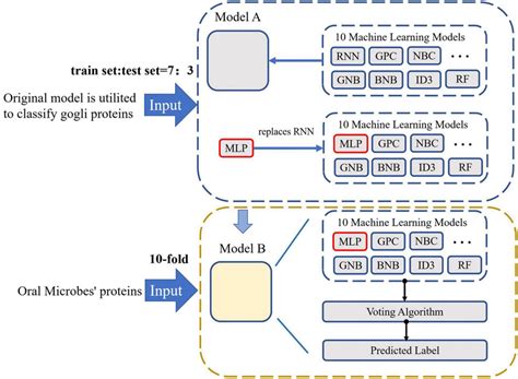 The Flowchart Of Oral Voting Transfer Model Download Scientific Diagram