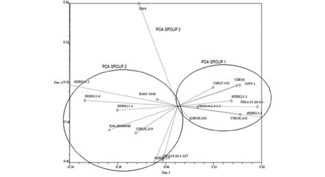 2 d plot of principle component analysis based on polymorphisms of 44