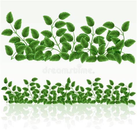 Grass Border Stock Vector Illustration Of Objects Pattern 18723029