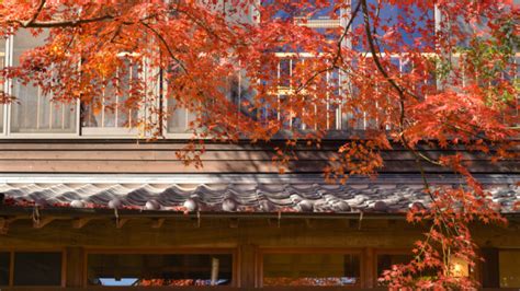 11월 후쿠오카 여행의 날씨 복장 태풍 여행지 추천 오박사 투어