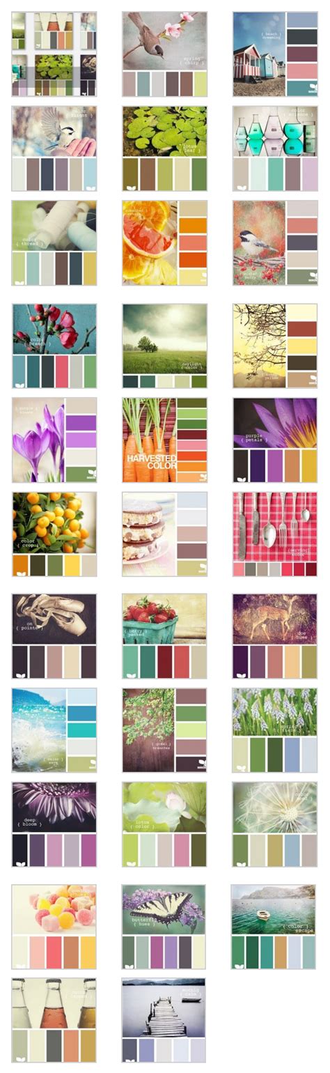 What Is My Spotify Color Palette Signsgre