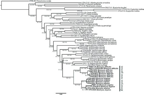 maximum likelihood tree log likelihood À21957 9648 showing the