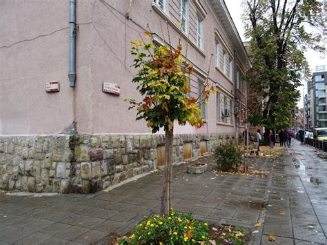78 отзива за 1 СУ „Пенчо Славейков“ Училище в София София