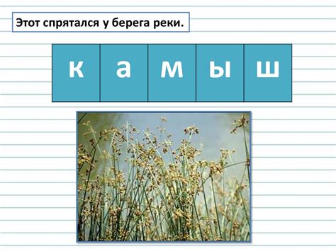 Имя существительное урок № 114 презентация онлайн