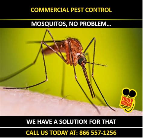 If You Hate Mosquitos As Much As I Do Reach Out To Me At My Number