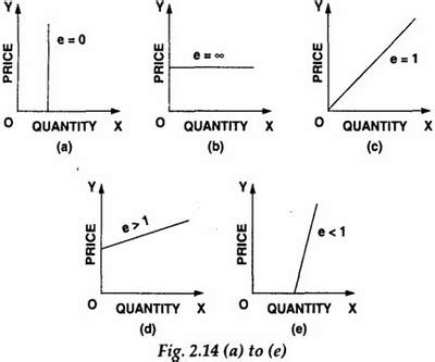 Types Of Elasticity In Economics LearningAll