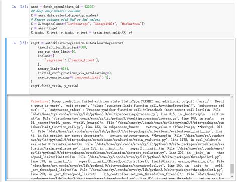 Valueerror Dummy Prediction Failed With Run State Statustypecrashed
