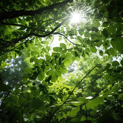 Premium AI Image Sunlight Filtering Through Dense Foliage