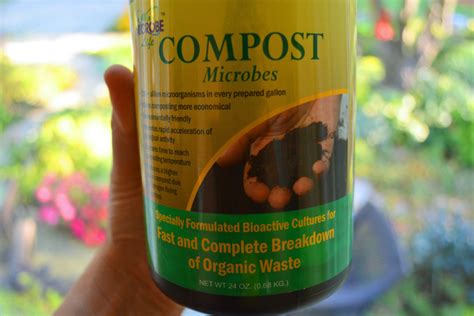 Compost Microbes Shawna Coronado