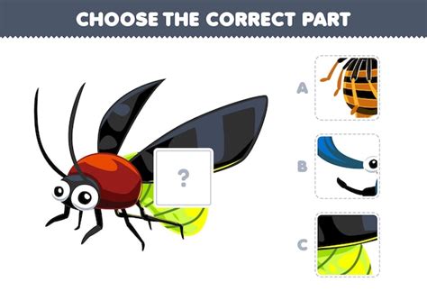 어린이를 위한 교육 게임은 올바른 부분을 선택하여 귀여운 만화 반딧불 그림 인쇄 가능한 버그 워크시트를 완성합니다 프리미엄 벡터