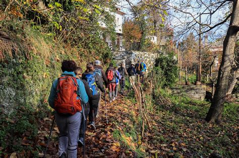 Hiking Small Tour Of Tsagkarada Things To Do In Pelion Greece