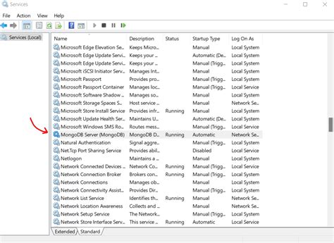 Using Mongodb Compass Code Notebook
