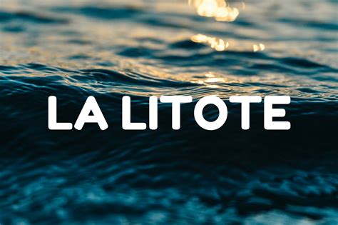 Litote Définition Et Exemples Figure De Style La Culture Générale