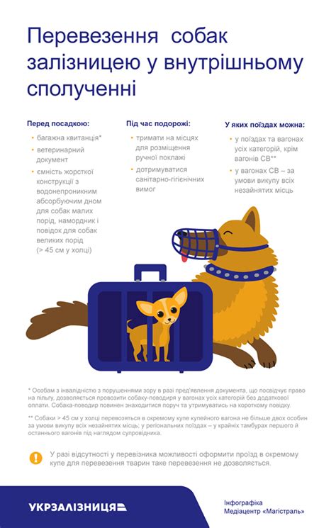 Правила перевезення дітей тварин та велосипедів оприлюднили в Укрзалізниці