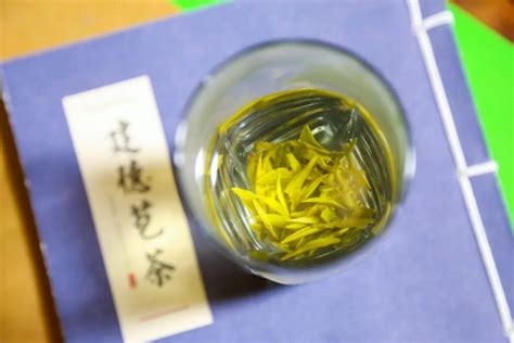 建德苞茶邀你成为推荐人 搜狐大视野 搜狐新闻