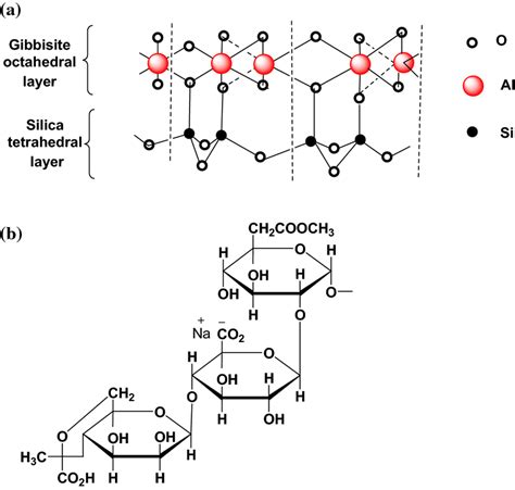 Xanthan Gum Structure