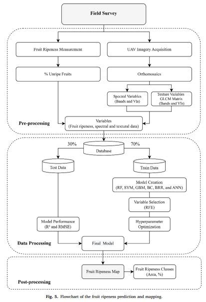Flowchart Of The Fruit Ripeness Prediction And Mapping Download Scientific Diagram