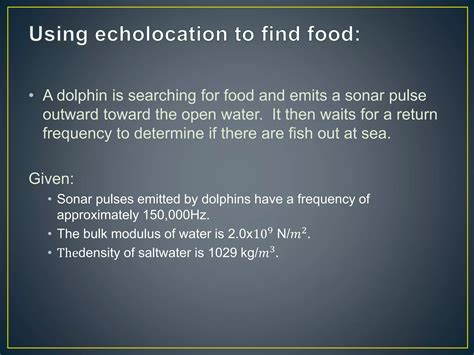 Physics And Echolocation Pptx