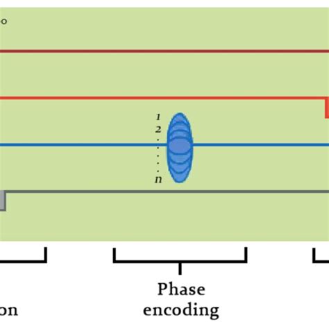 1 Representation Of A Typical Gradient ­echo Pulse Sequence The Download Scientific Diagram