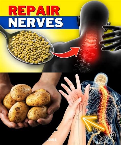 🌿 Naturally Soothe Your Nerves With These 15 Healing Foods