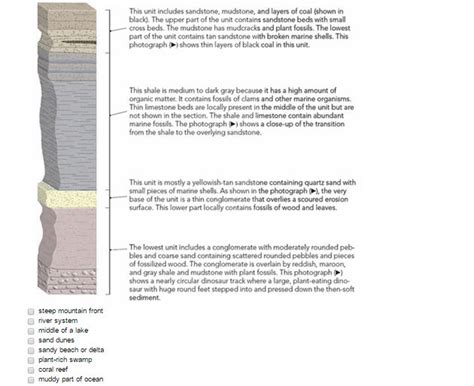 Using The Stratigraphic Section And Photographs