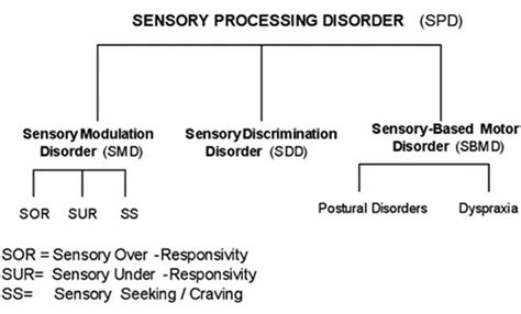 The Types And Subtypes Of SPD According To Lucy Jane Miller Kid Download Scientific Diagram